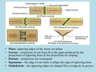 Joints (arthrology) | PPTX | Death, Injury, or Military Conflict ...