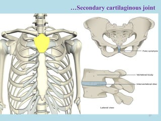 Joints (arthrology) | PPTX
