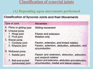 Joints (arthrology) | PPTX