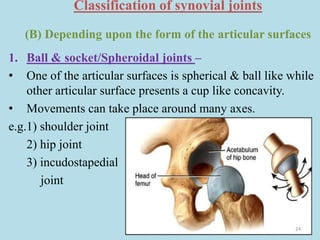 Joints (arthrology) | PPTX