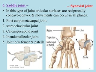 Joints (arthrology) | PPTX