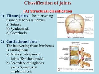 Joints (arthrology) | PPTX