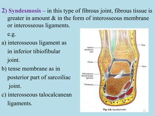 Joints (arthrology) | PPT