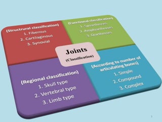 Joints (arthrology) | PPT