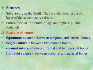 Summery of the Anatomy Joints | PPT
