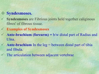 Summery of the Anatomy Joints | PPT