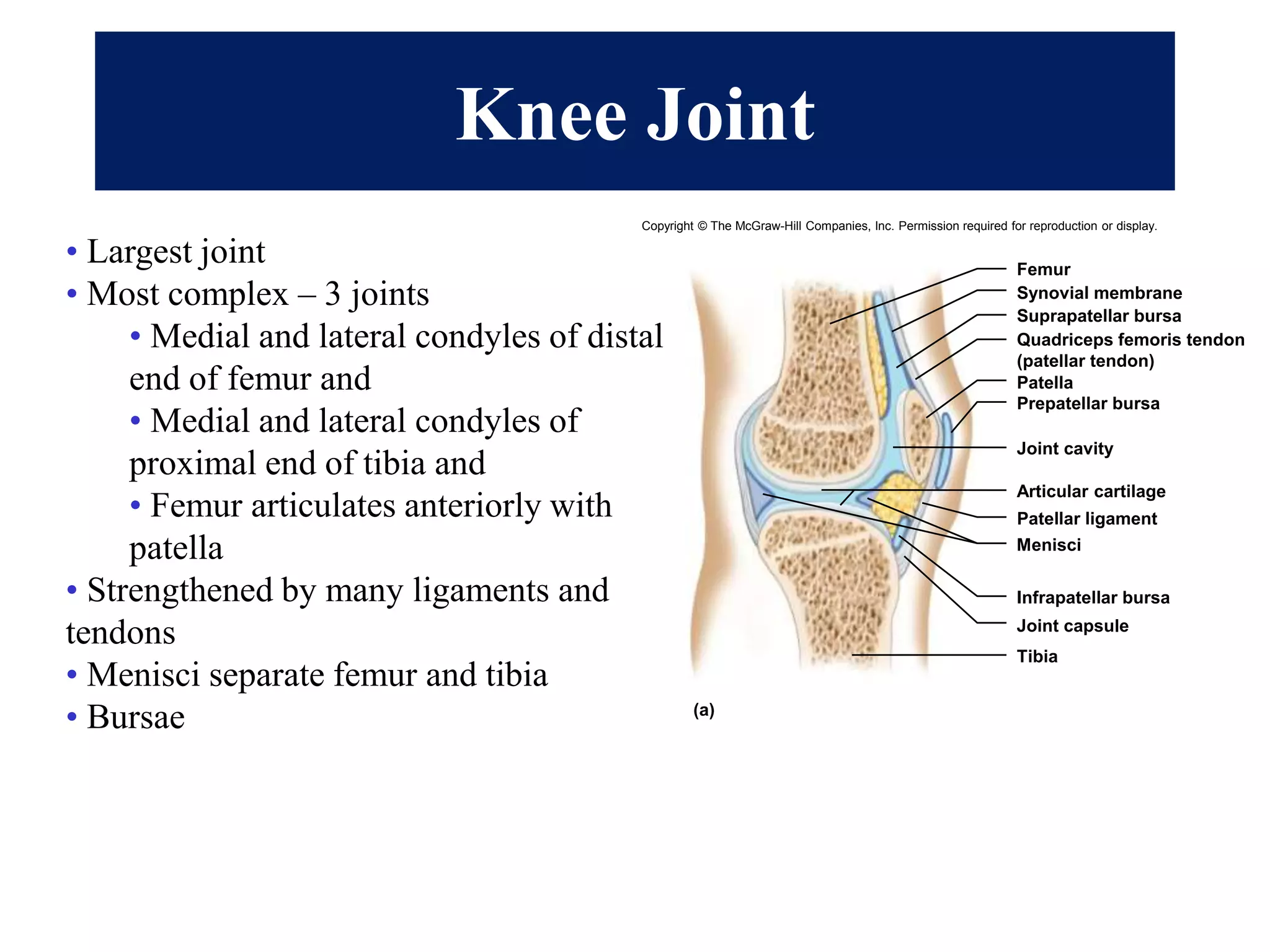 joints | PPT