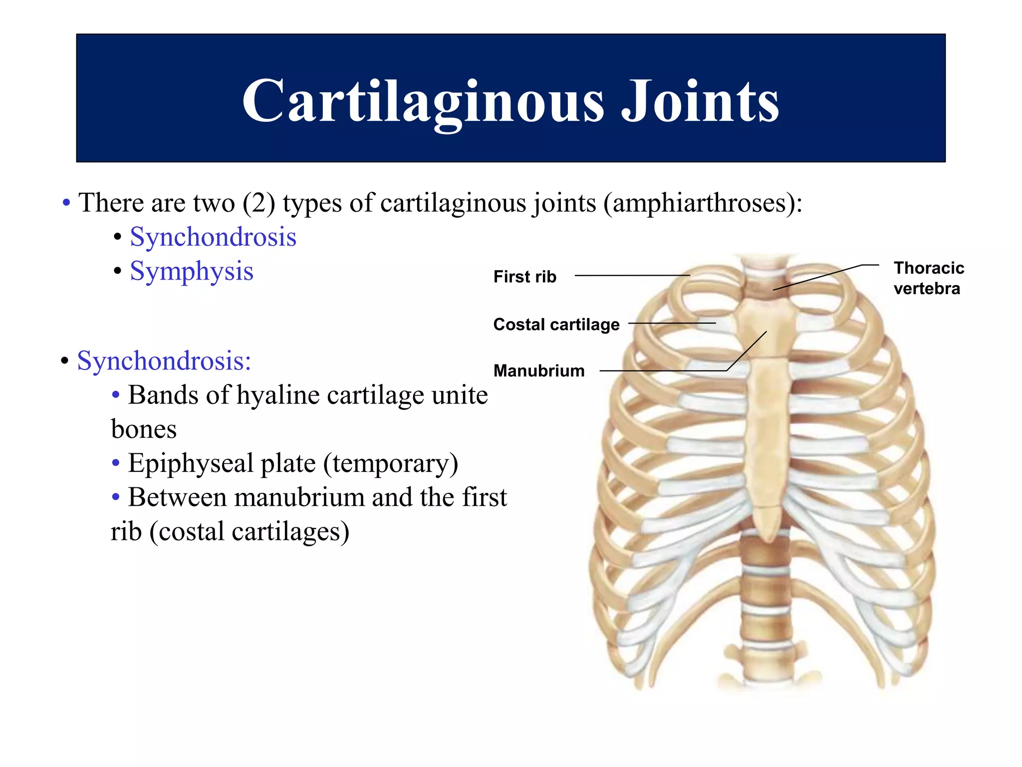 joints | PPT