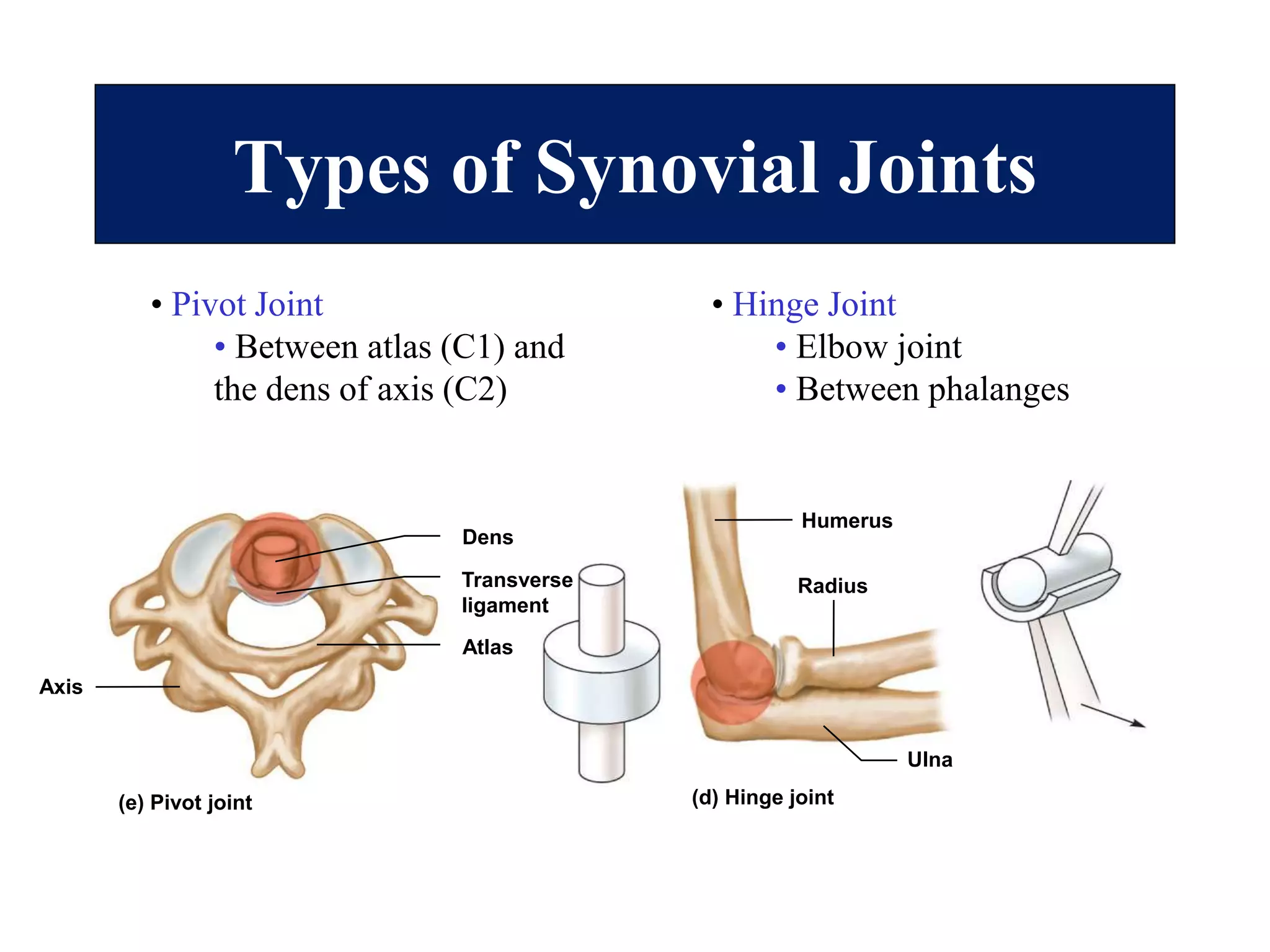 joints | PPT