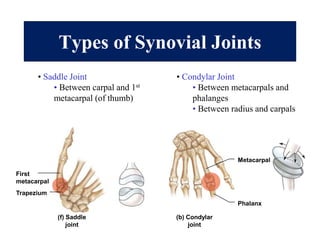 joints | PPT