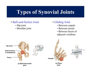 joints | PPT