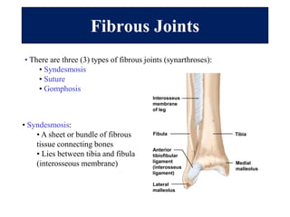 joints | PPT
