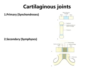 Joints.ppt