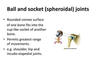Joints.ppt