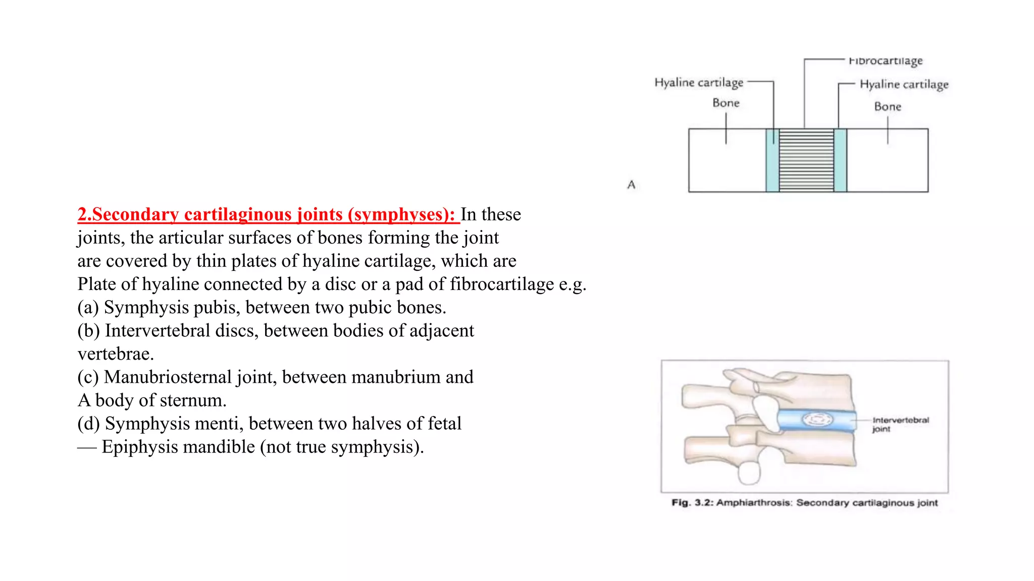 JOINTS.pptx