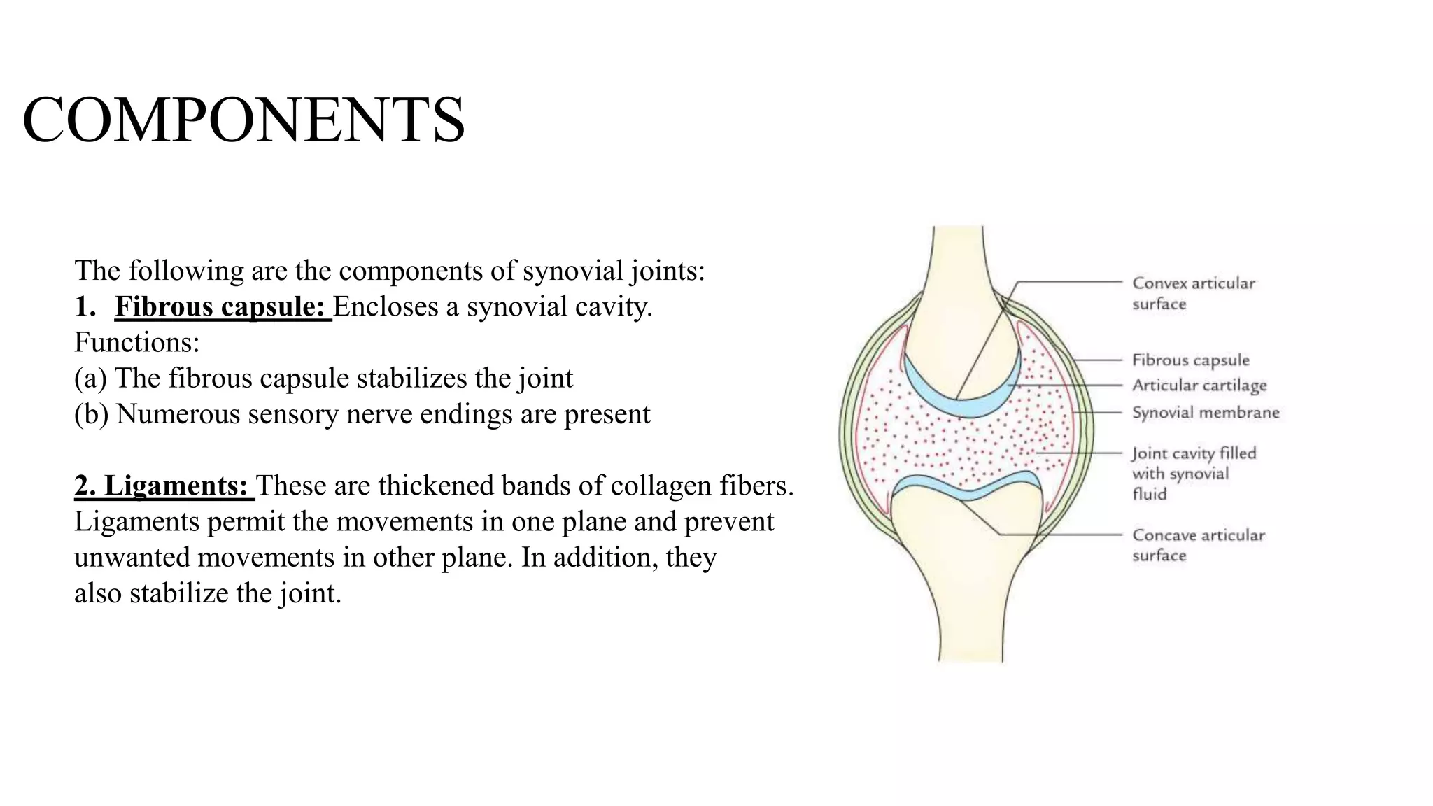 JOINTS.pptx