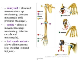 joints.pptx