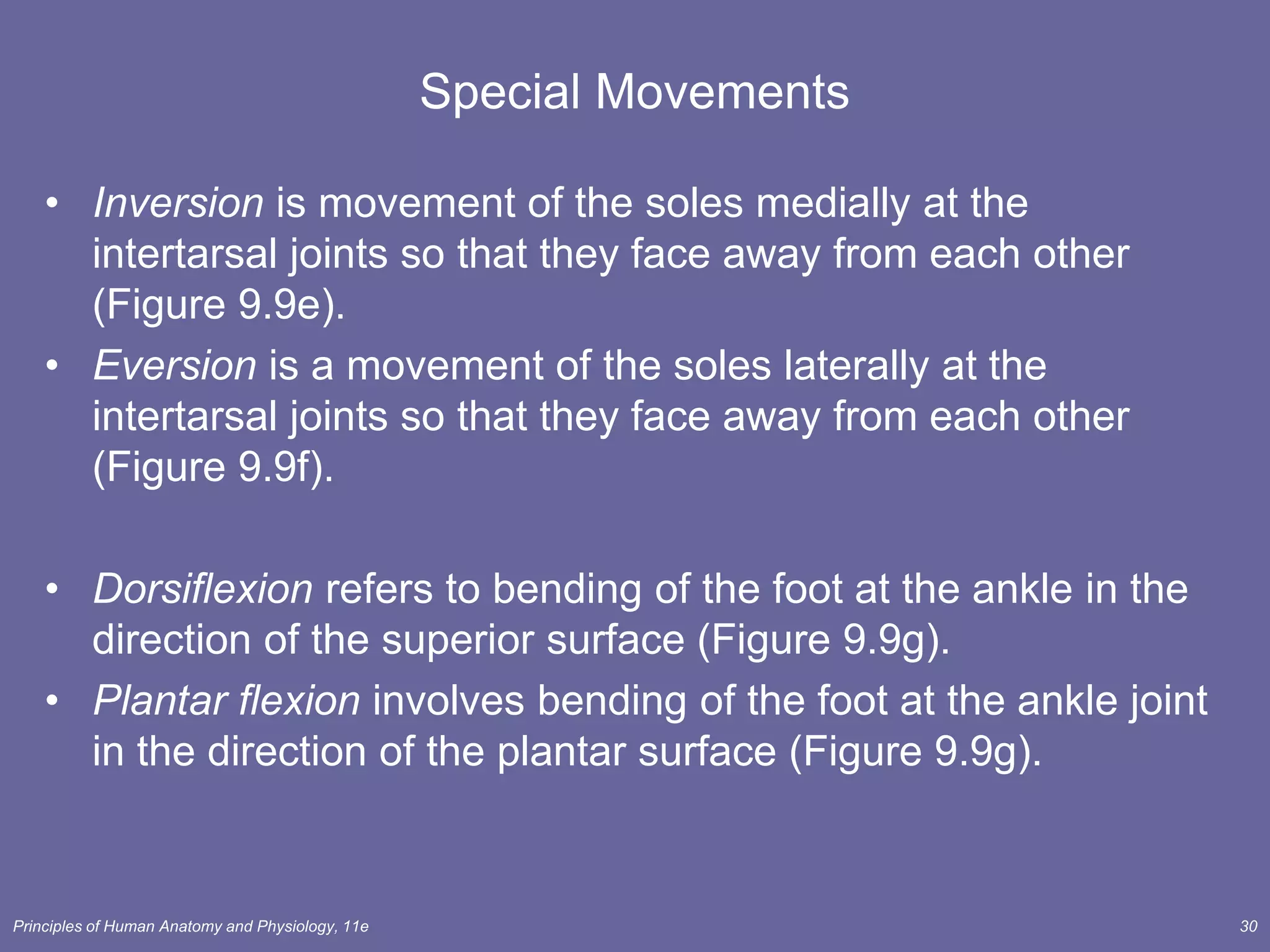 joints.ppt