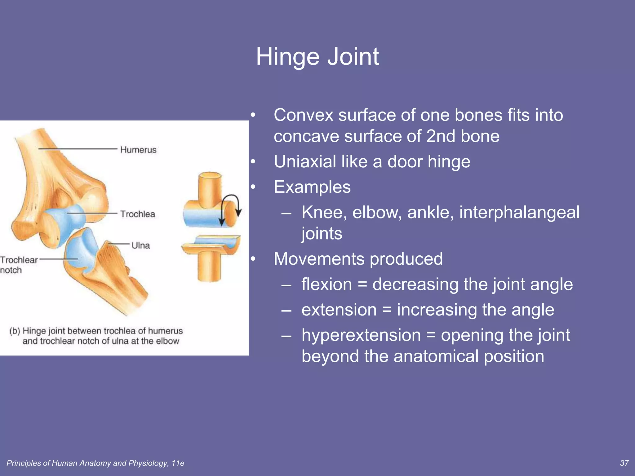 joints.ppt