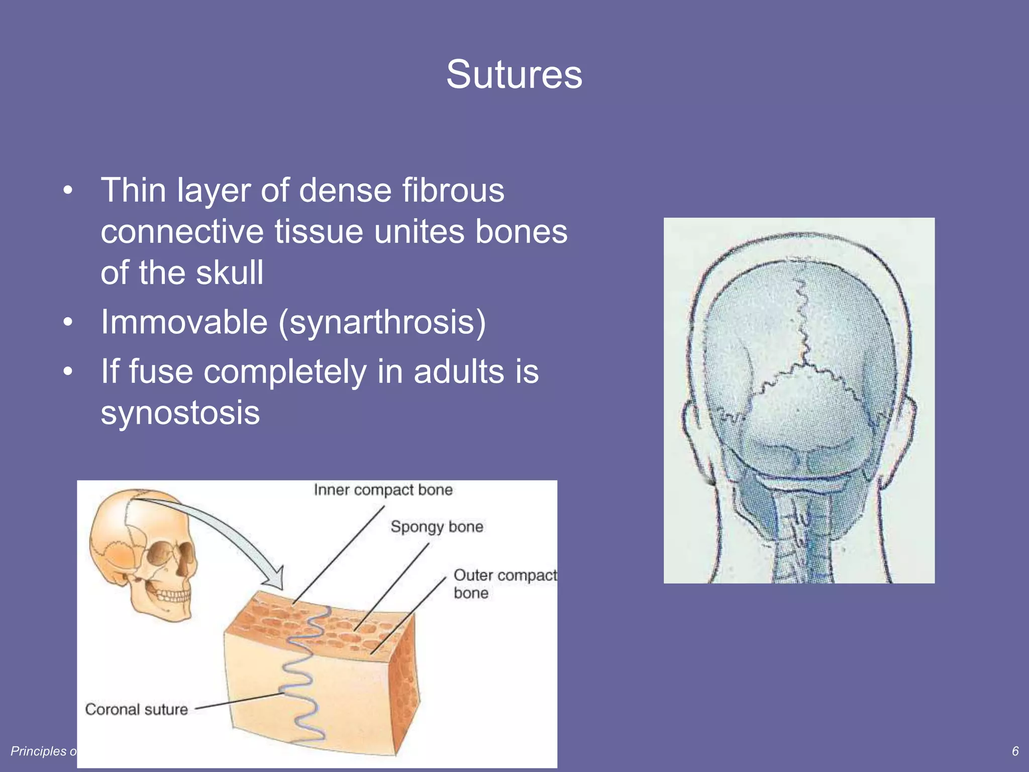 joints.ppt