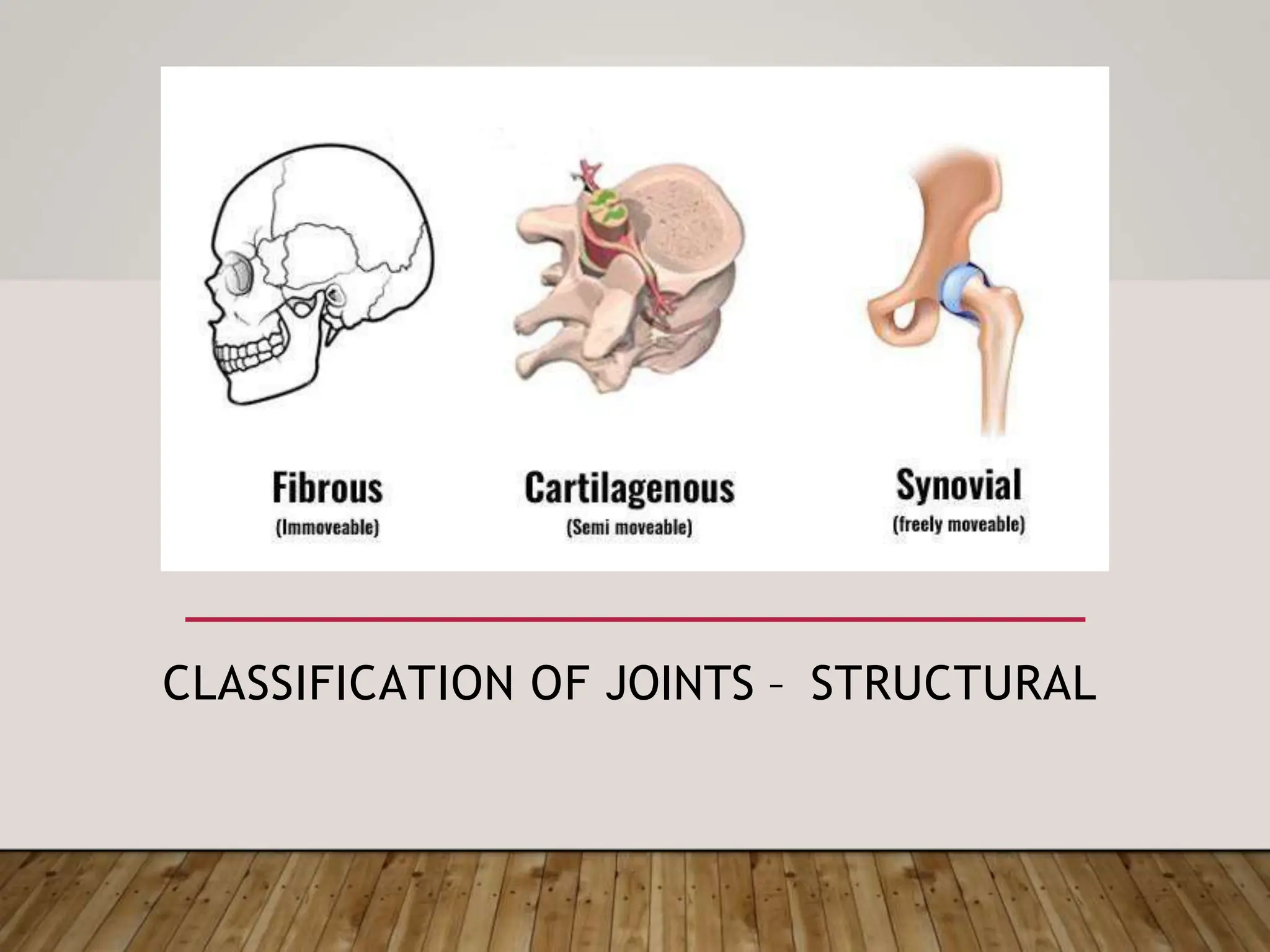 Joints.pptx | Death, Injury, or Military Conflict | Sensitive Topics
