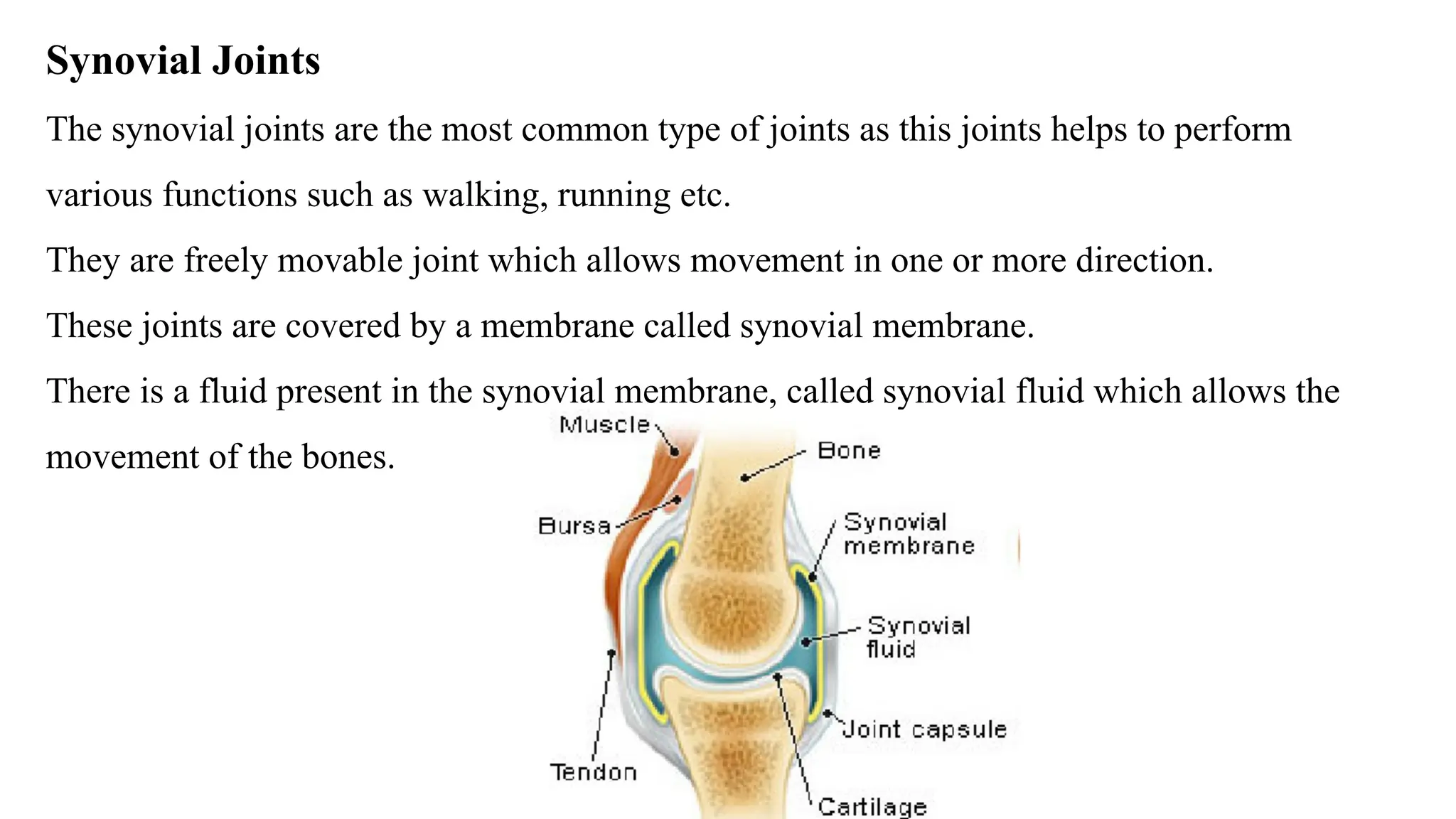 Structural and Functional Classification ,types of joints movements and ...