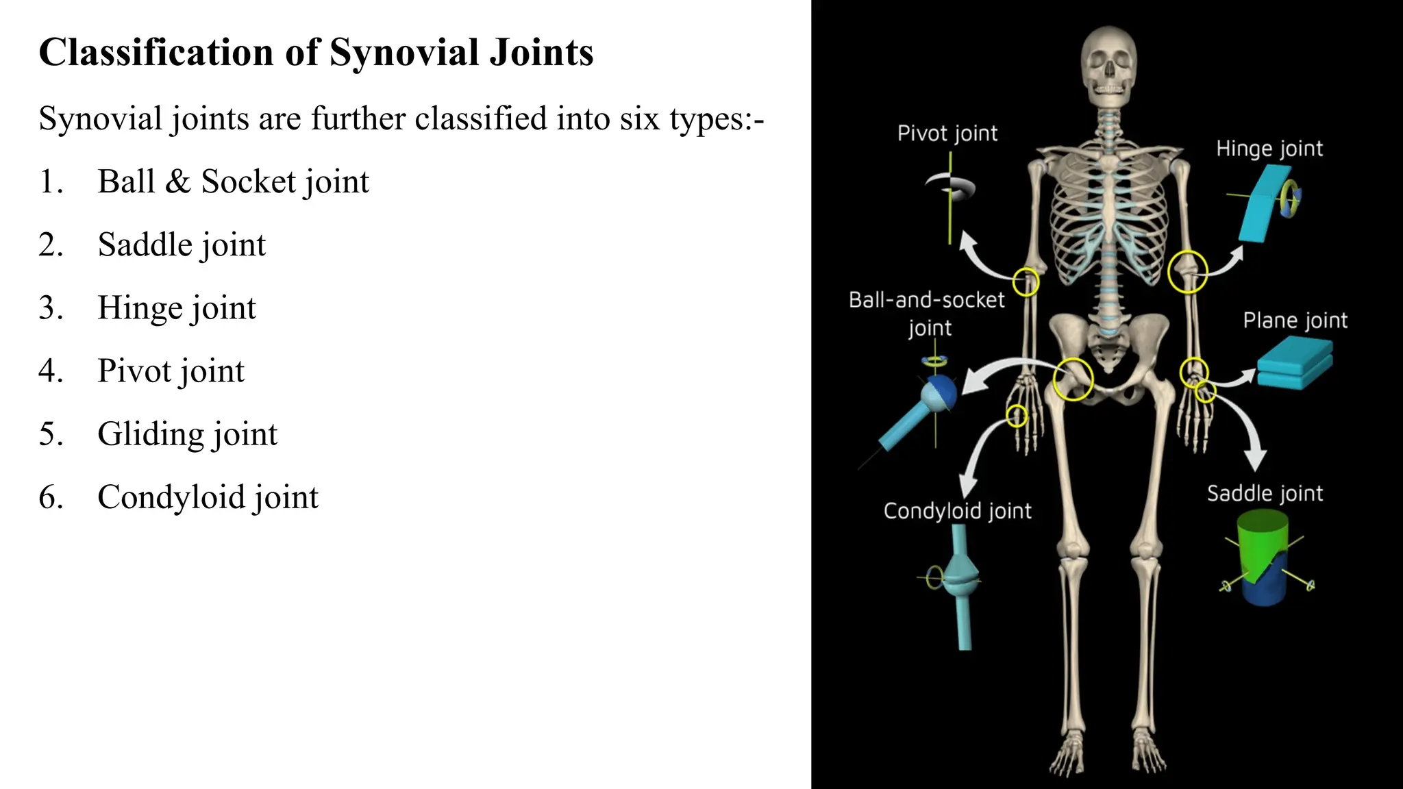 Structural and Functional Classification ,types of joints movements and ...