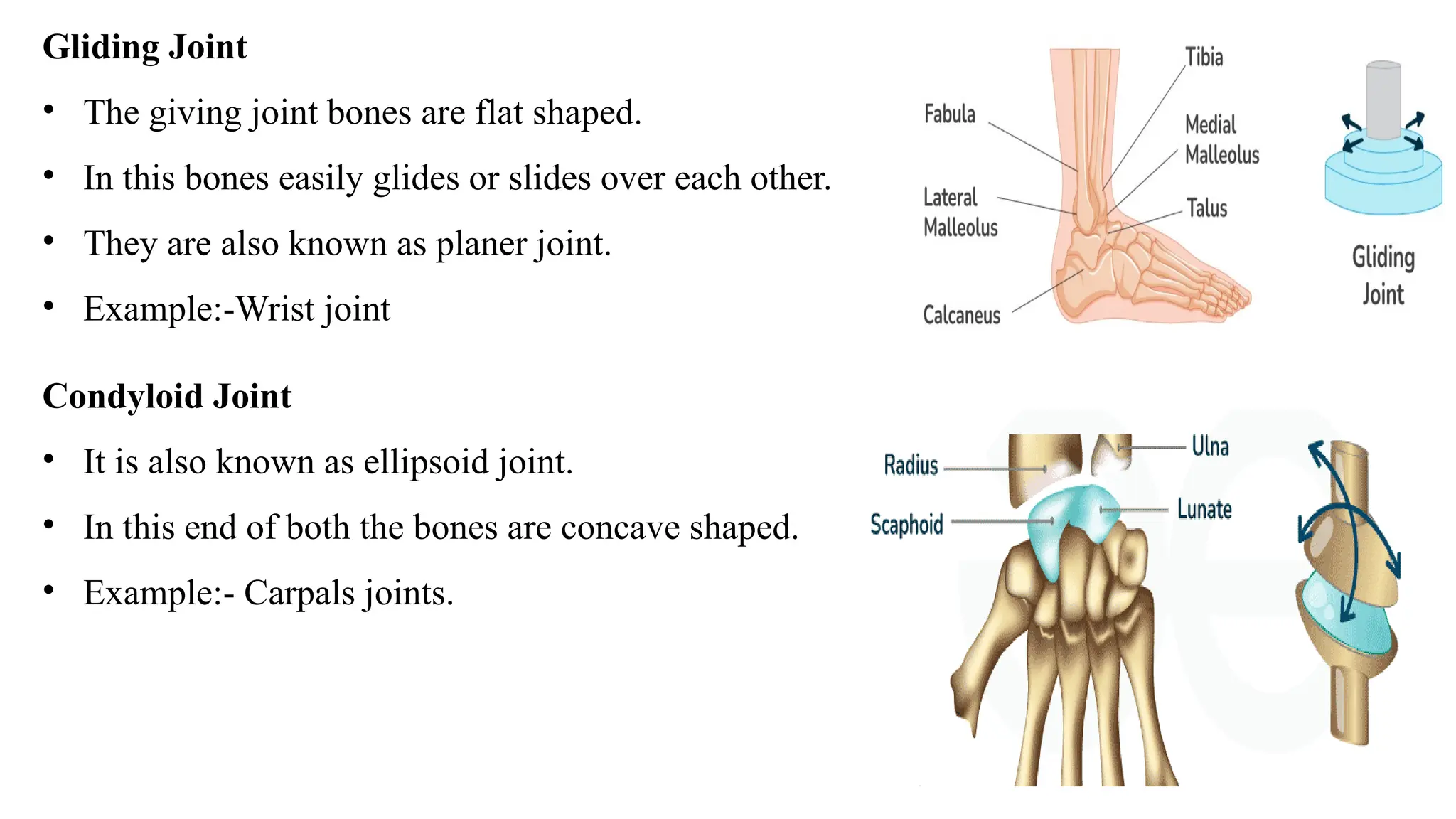 Structural and Functional Classification ,types of joints movements and ...