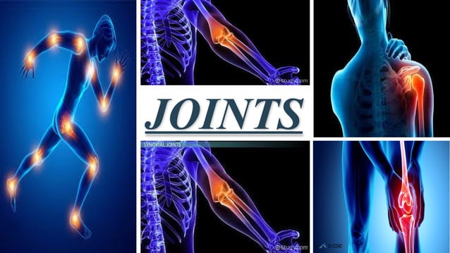 Structural and Functional Classification ,types of joints movements and ...
