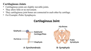 Structural and Functional Classification ,types of joints movements and ...