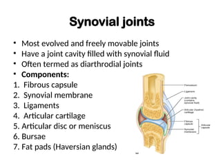 human skeleton (joints) anatomy of bones and joints | PPT