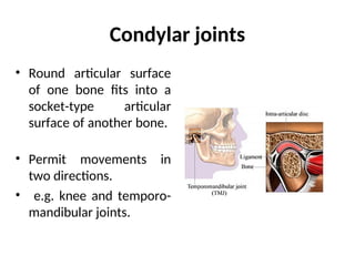 human skeleton (joints) anatomy of bones and joints | PPT