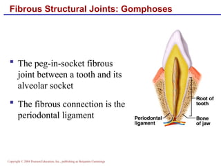 JOINTS.ppt anatomy ..................... | PPT