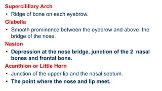 JOINTS AND SURFACE LANDMARKS IN RADTECH.pdf