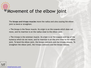 Joints-and-Muscles-missfrancois.com_ (1).pptx