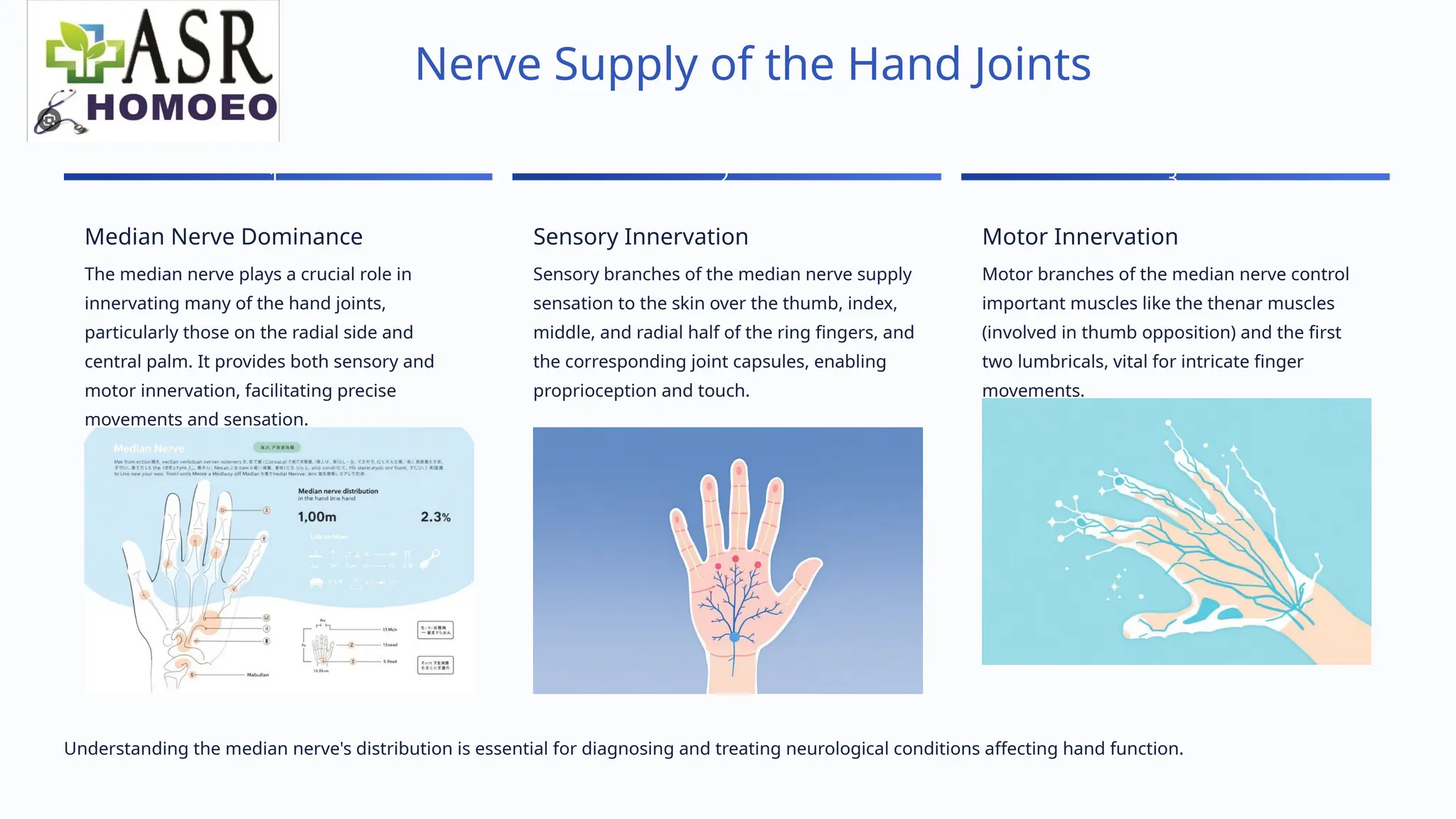 Joints-of-the-Hand-First-Carpometacarpal-to-Nerve-Supply.pptx_20251116 ...