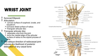 Anatomy Medicine - Joints of the Upper Limb | PPT