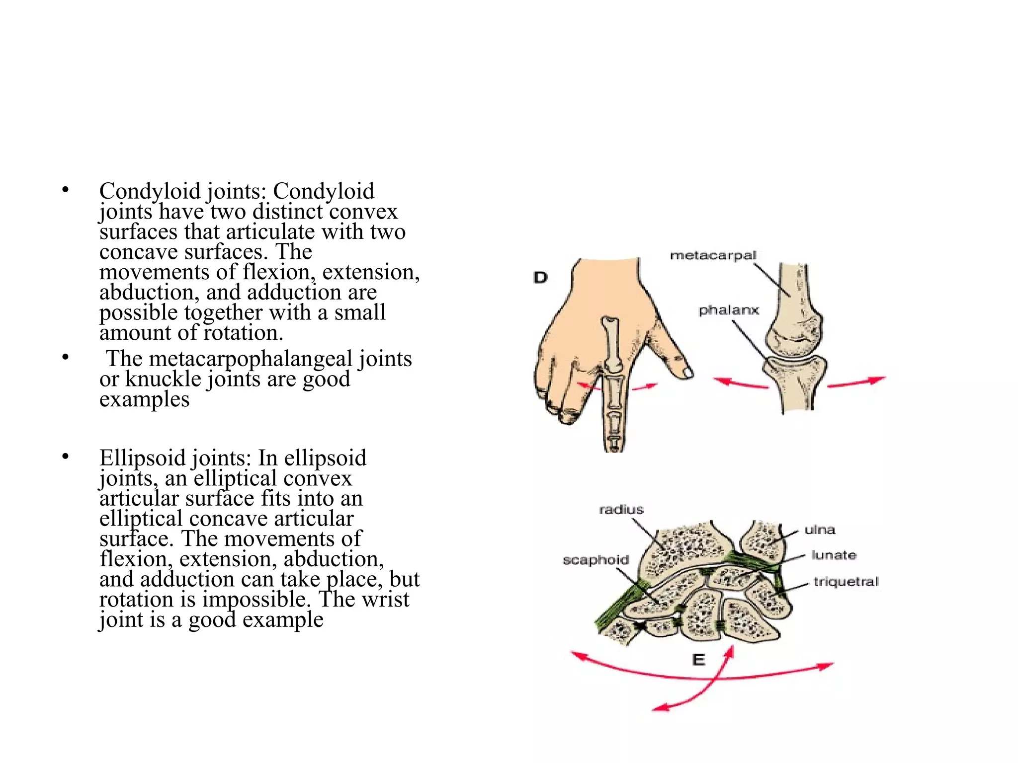 Joints of-upper-limb | PPT