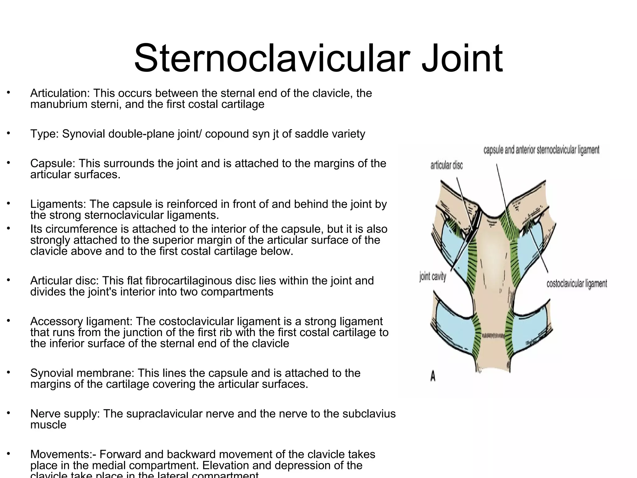 Joints of-upper-limb | PPT
