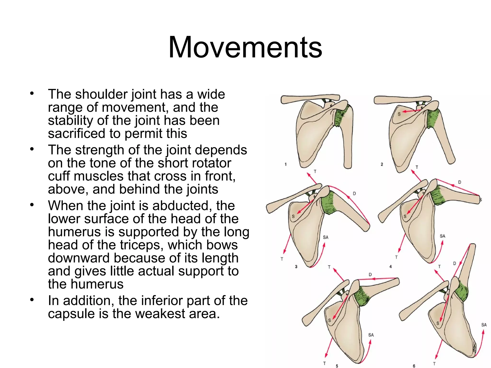 Joints of-upper-limb | PPT