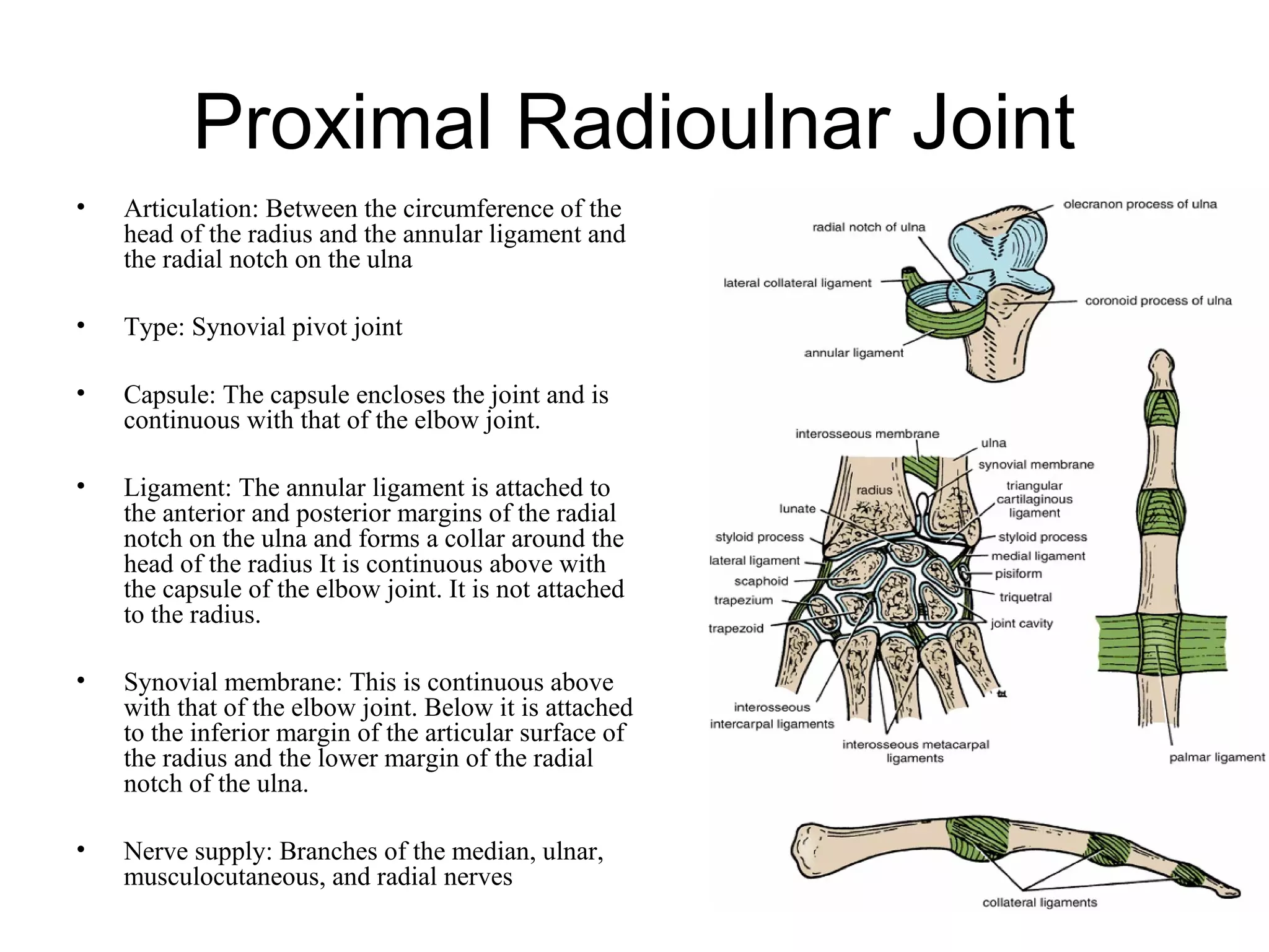 Joints of-upper-limb | PPT