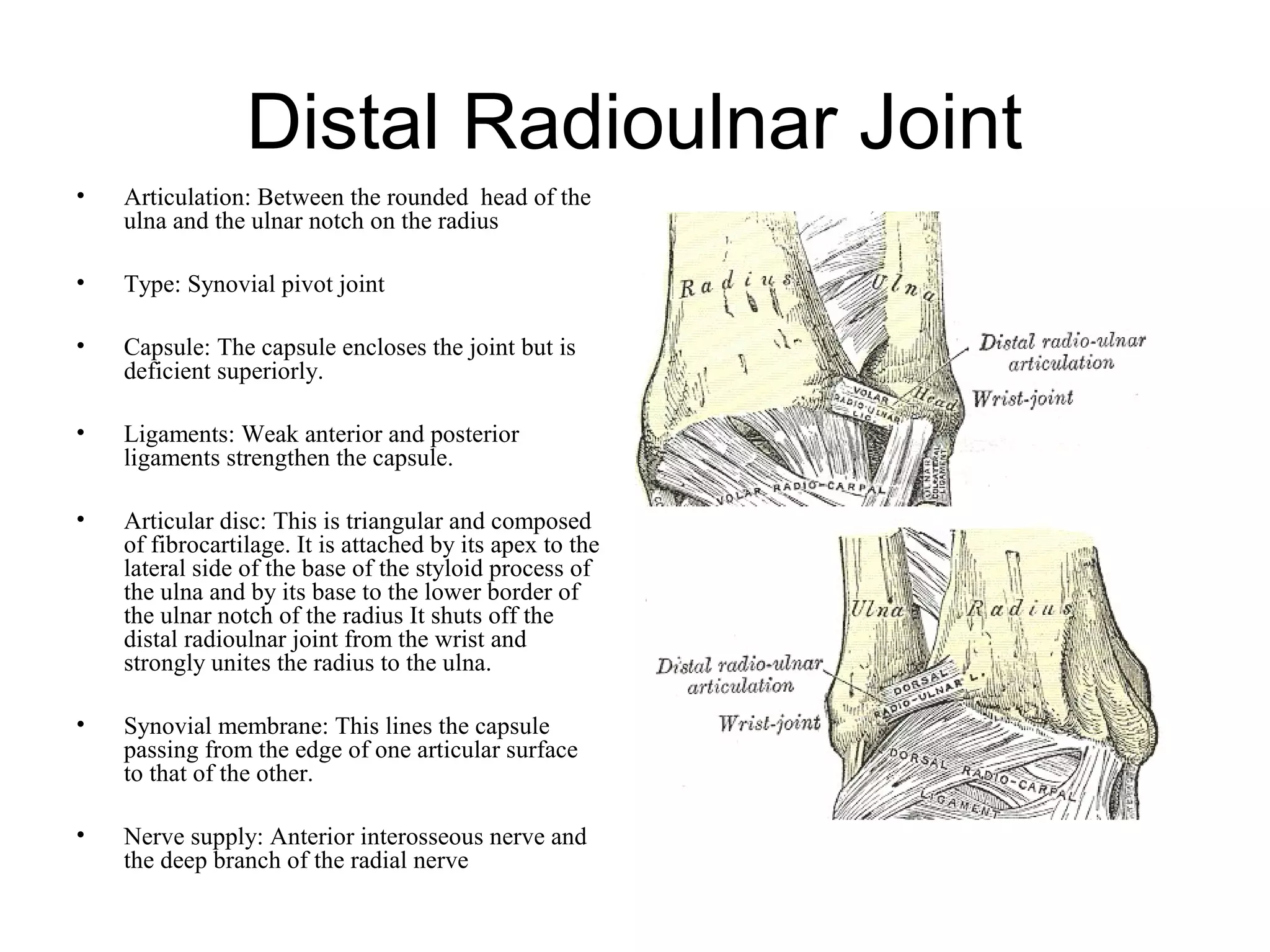 Joints of-upper-limb | PPT