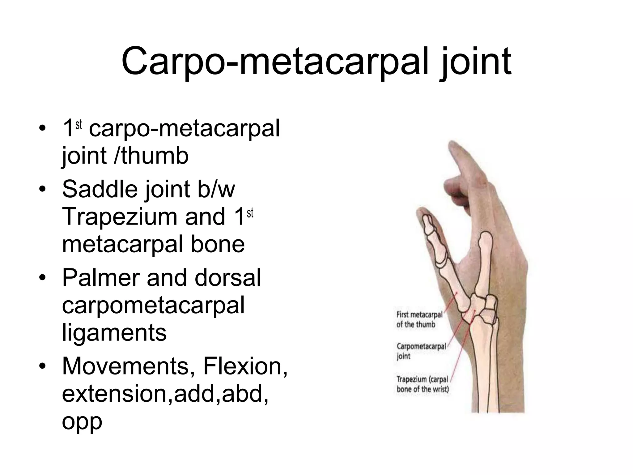 Joints of-upper-limb | PPT
