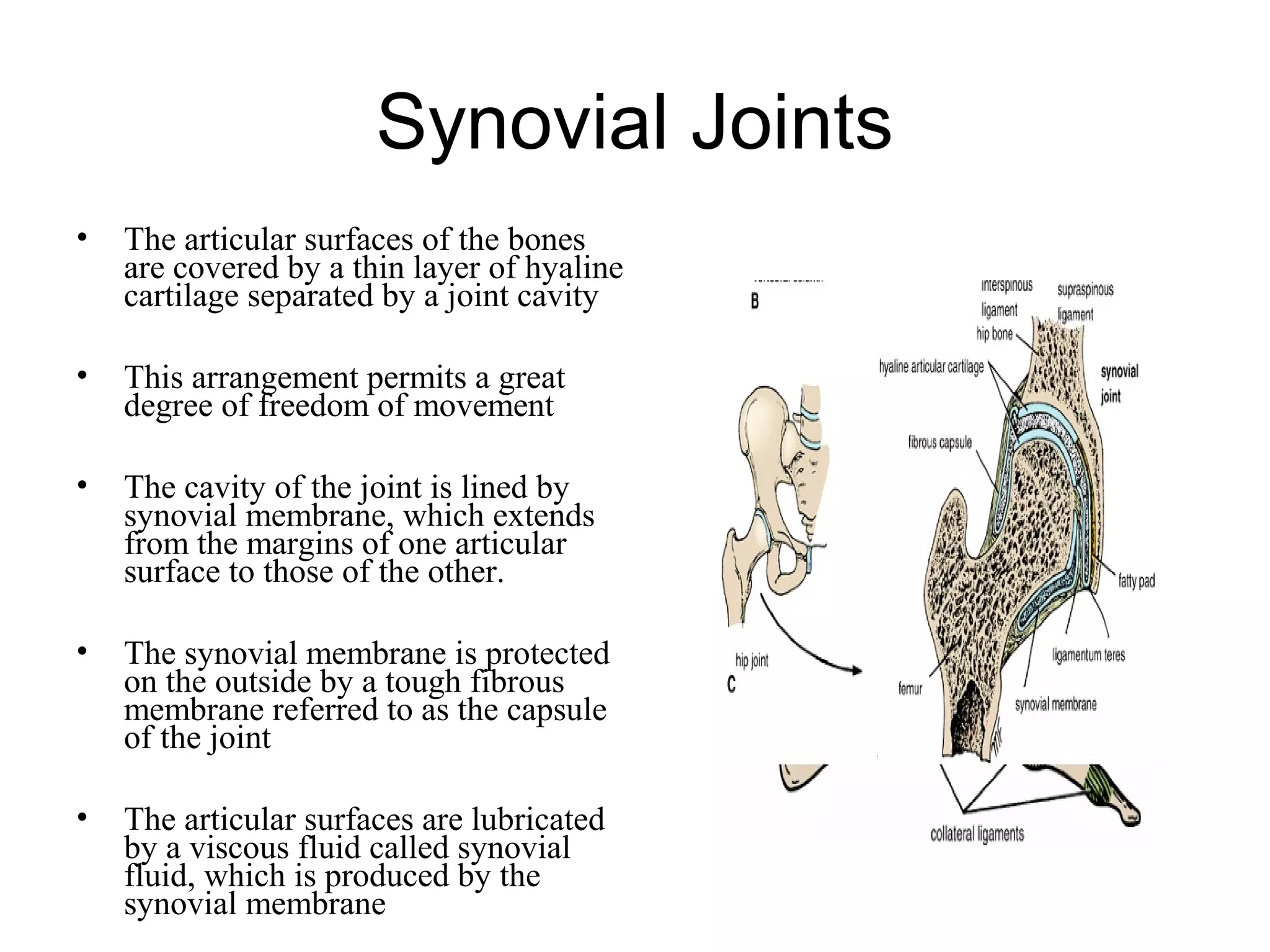 Joints of-upper-limb | PPT