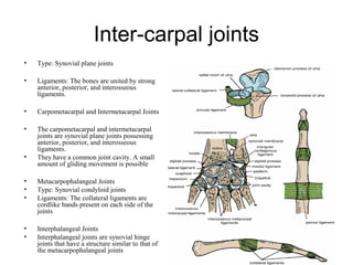 Joints of-upper-limb | PPT