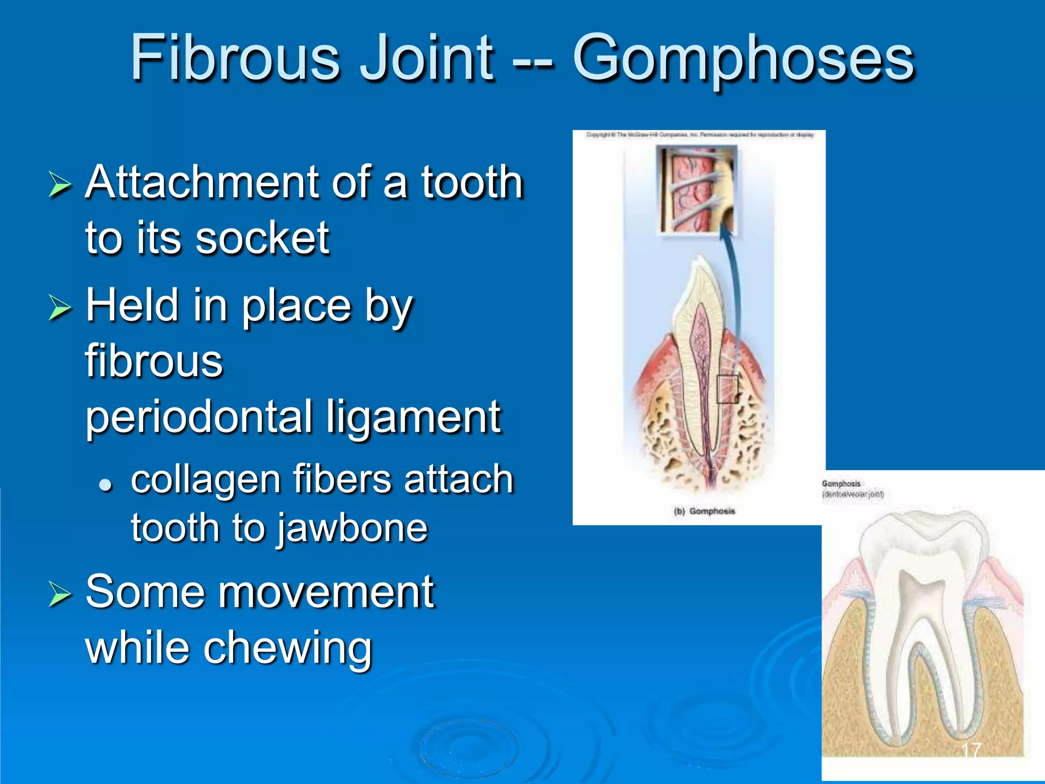 joints-ppt.pptx