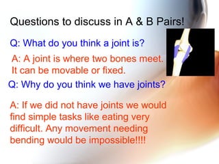 Joints (1) | PPT