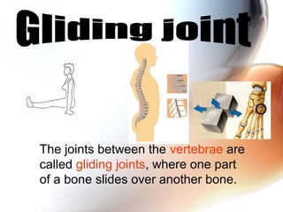 Joints (1) | PPT