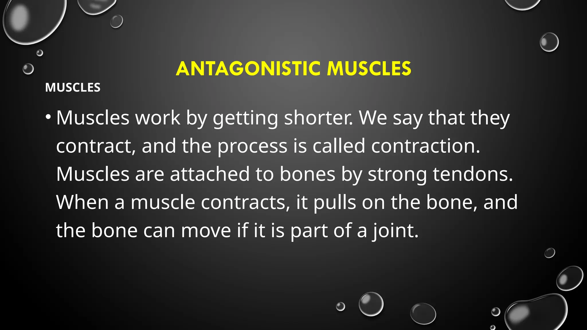 Joints in humans year 8 science work.pptx