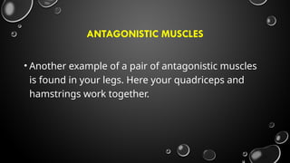 Joints in humans year 8 science work.pptx